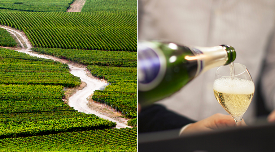 Offrez une expérience champagne à vos clients et collaborateurs ...