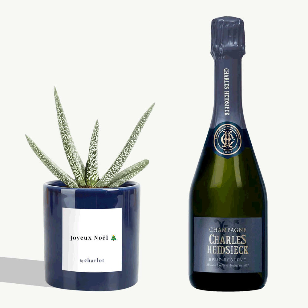Champmarket x By Charlot : irrésistibles cadeaux Duos Plante ...